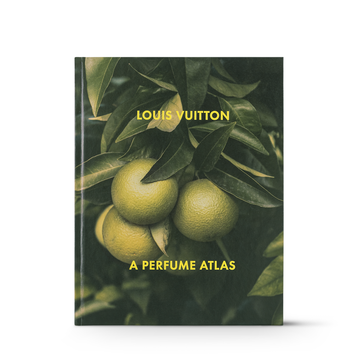 Louis Vuitton: A Perfume Atlas | LOUIS VUITTON